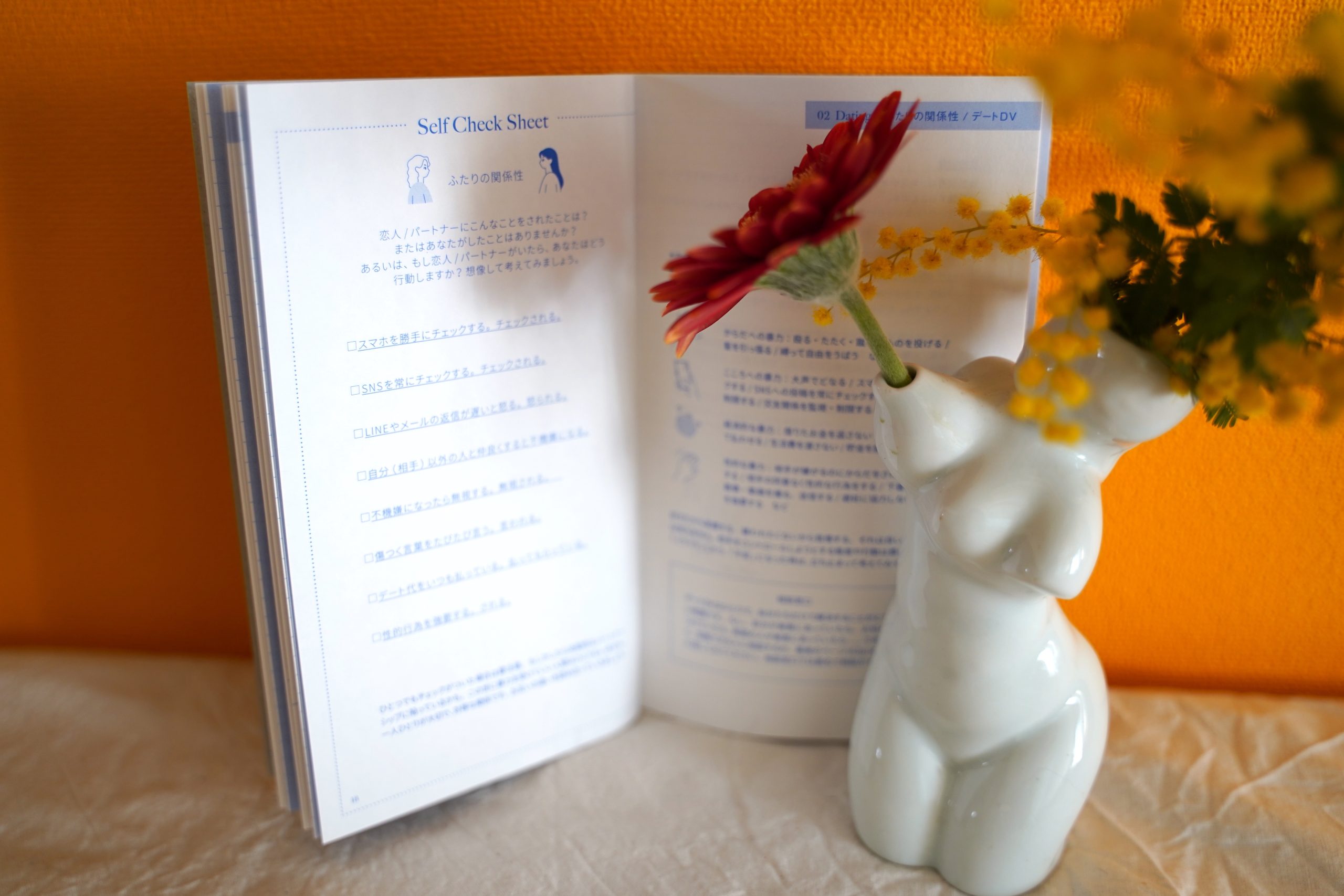 性とからだのMYノートSRHR NOTE | ランドリーボックス