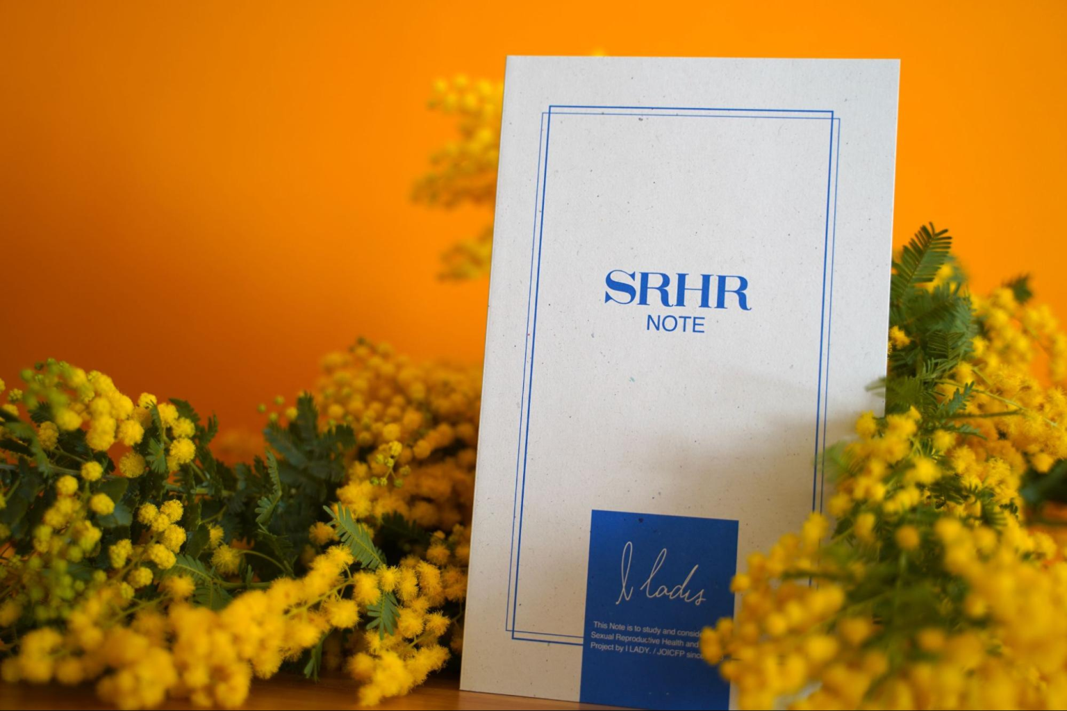 男性もSRHRを知るべき？ジョイセフ I LADY.が伝える一人ひとりの選択肢 | ランドリーボックス